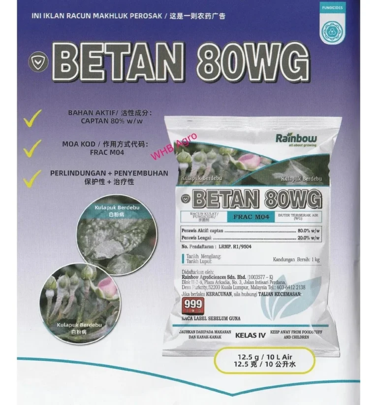 Rainbow Archives - WHB Agro Sdn Bhd
